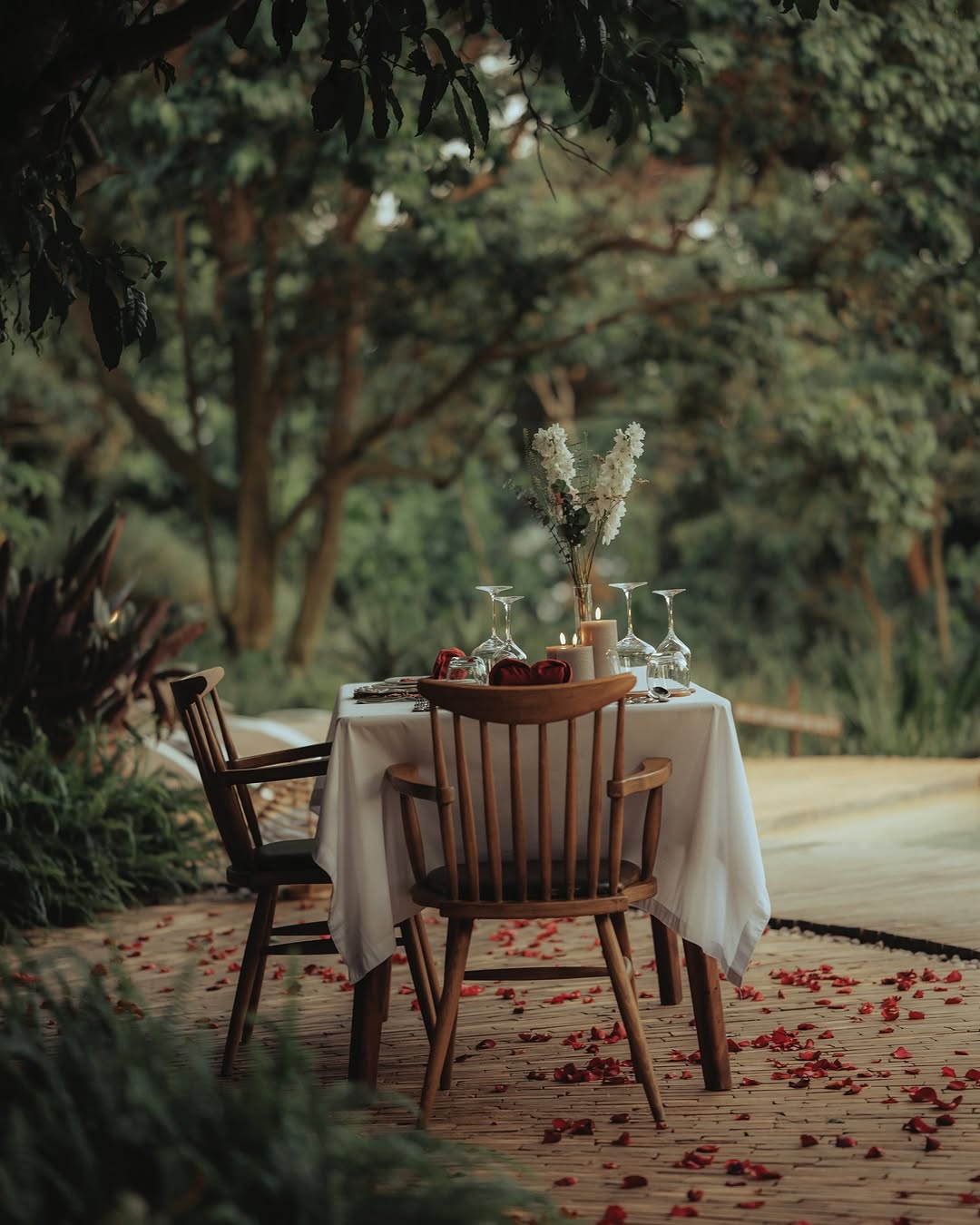 about - Entebbe Forest Lodge